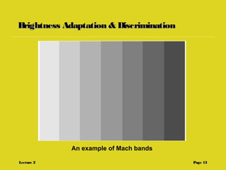 Digital Image Processing: Image Colors | PPT
