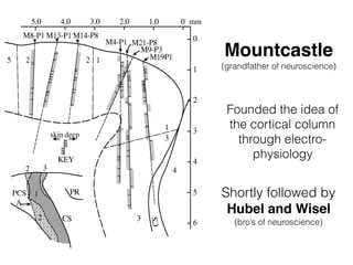 Lecture 2: Molecular Neuroscience Across Species | PPT
