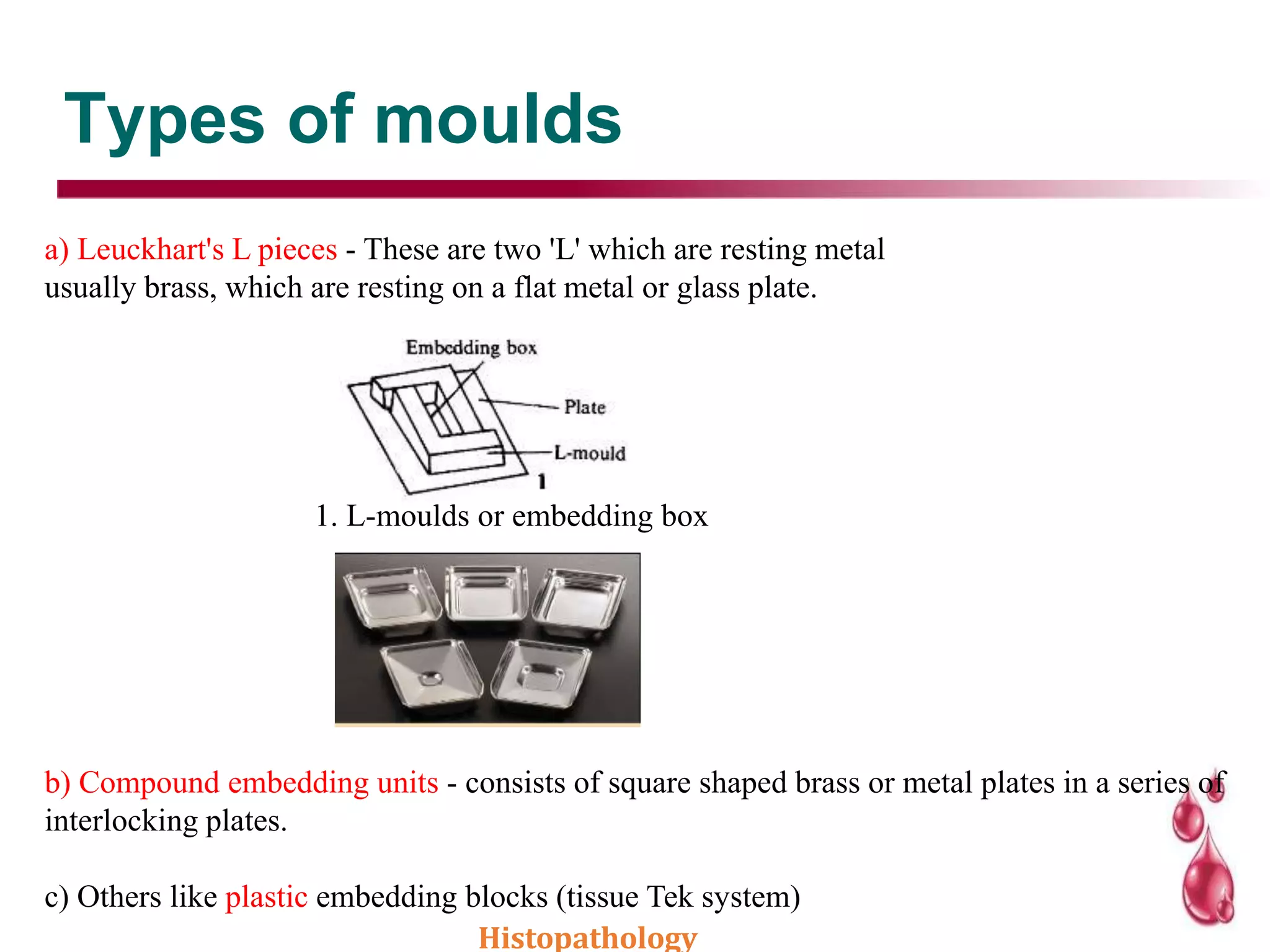 Lecture 2. tissue processing | PPTX