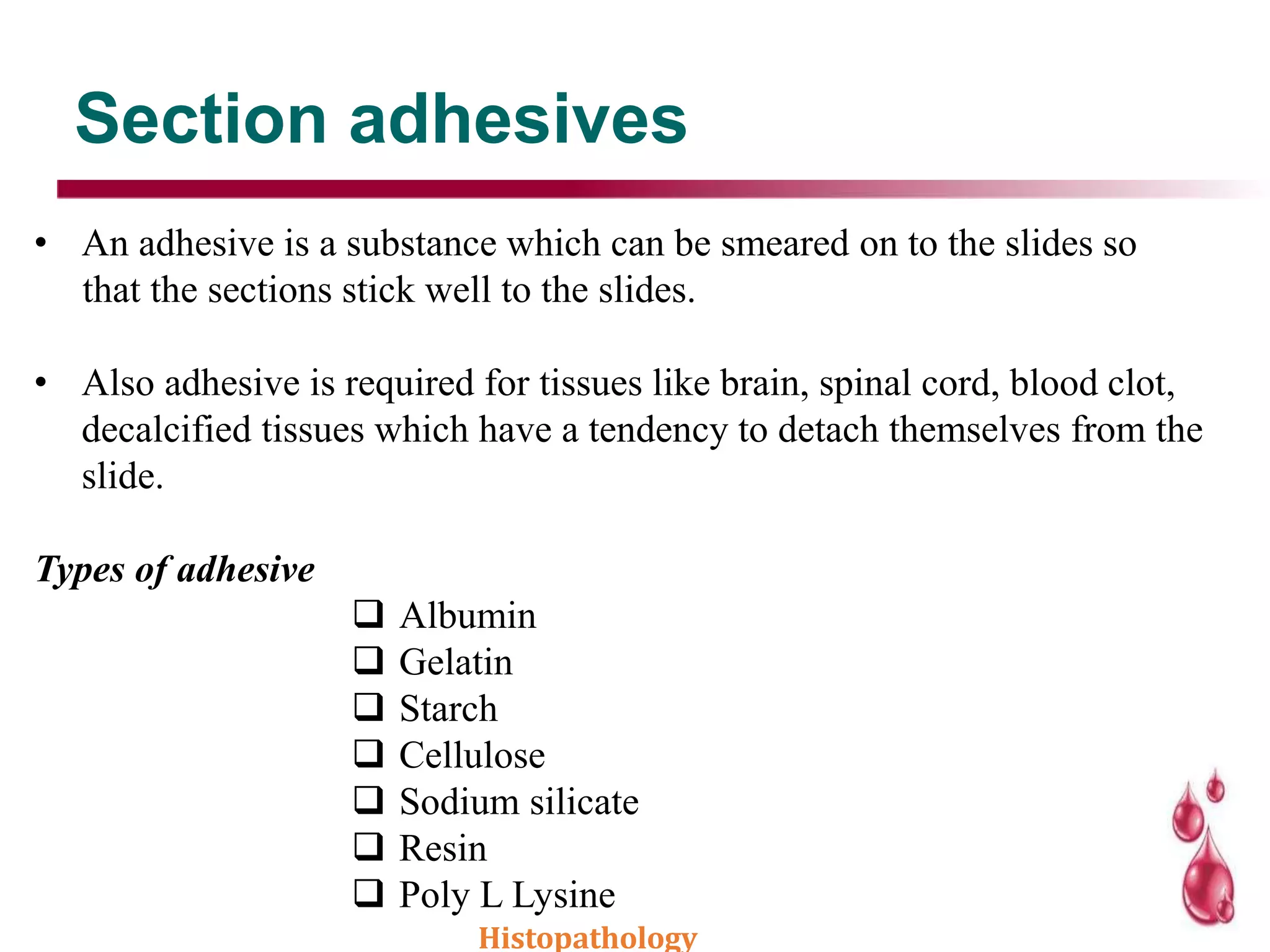 Lecture 2. tissue processing | PPTX