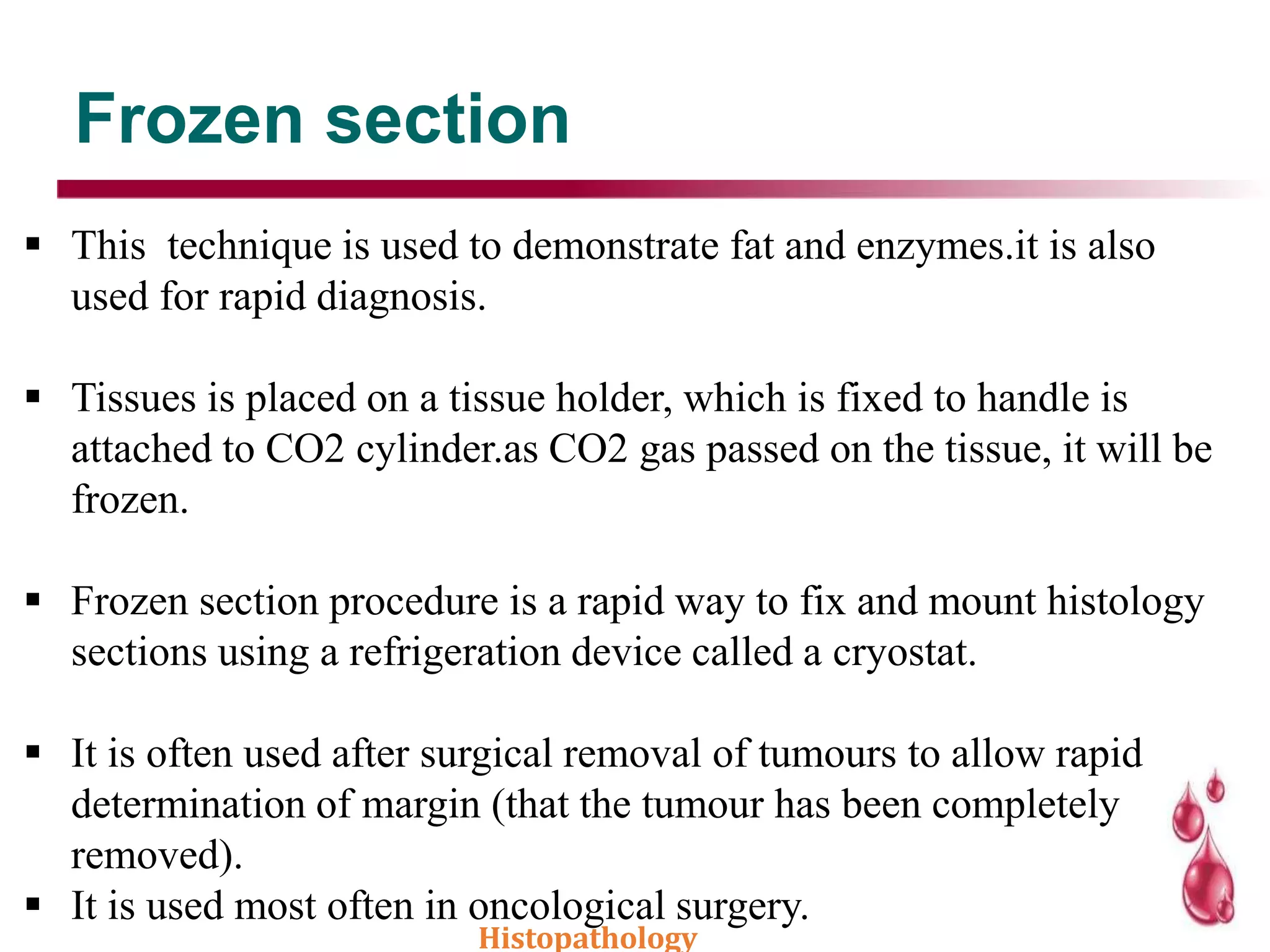 Lecture 2. tissue processing | PPTX