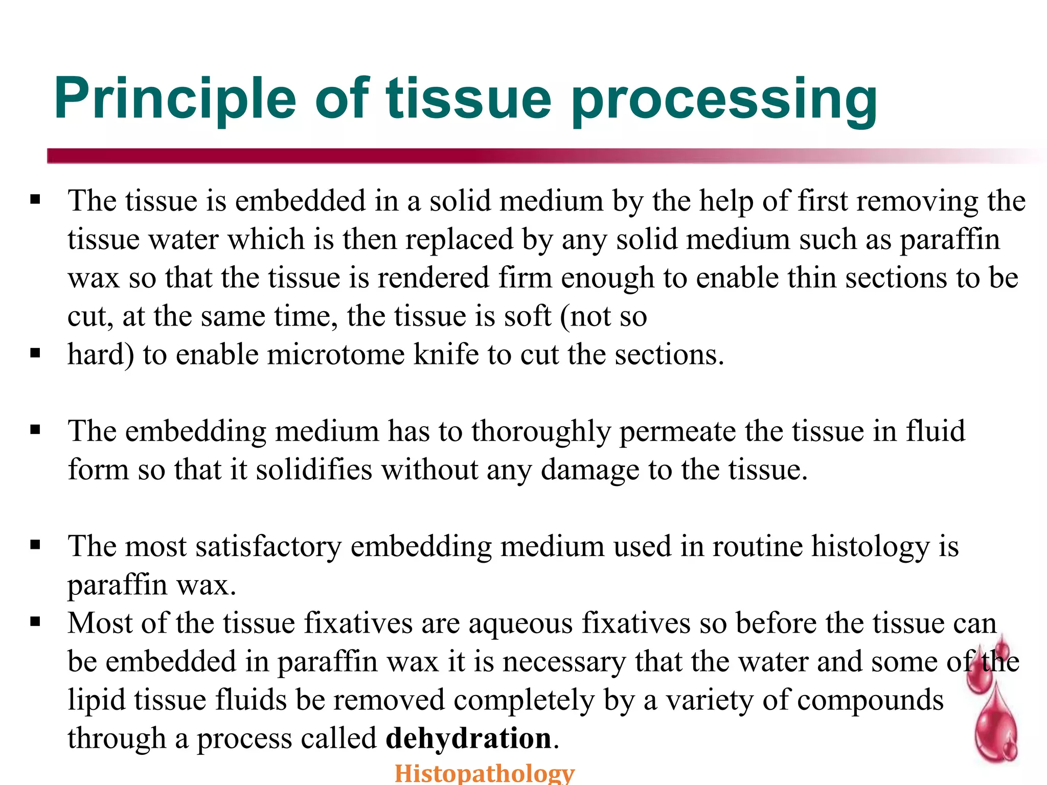 Lecture 2. tissue processing | PPTX