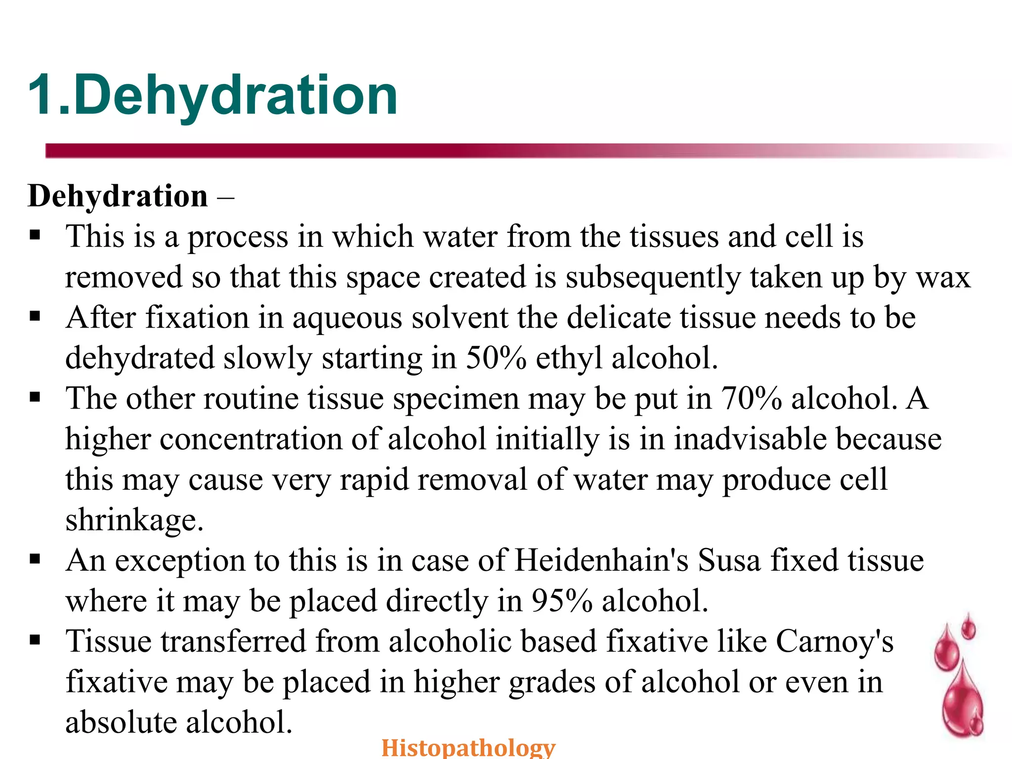 Lecture 2. tissue processing | PPTX