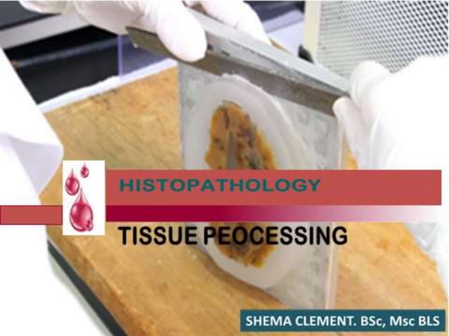 Lecture 2. tissue processing | PPTX
