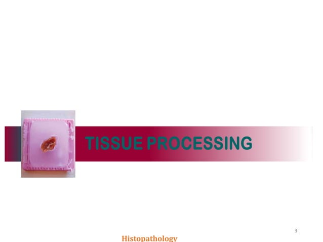Lecture 2. tissue processing | PPTX