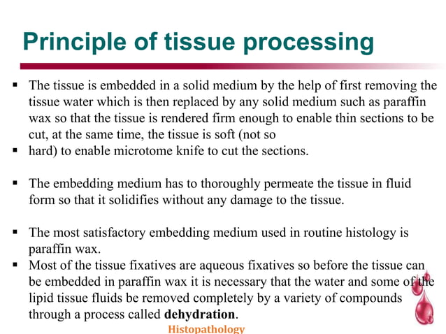 Lecture 2. tissue processing | PPTX