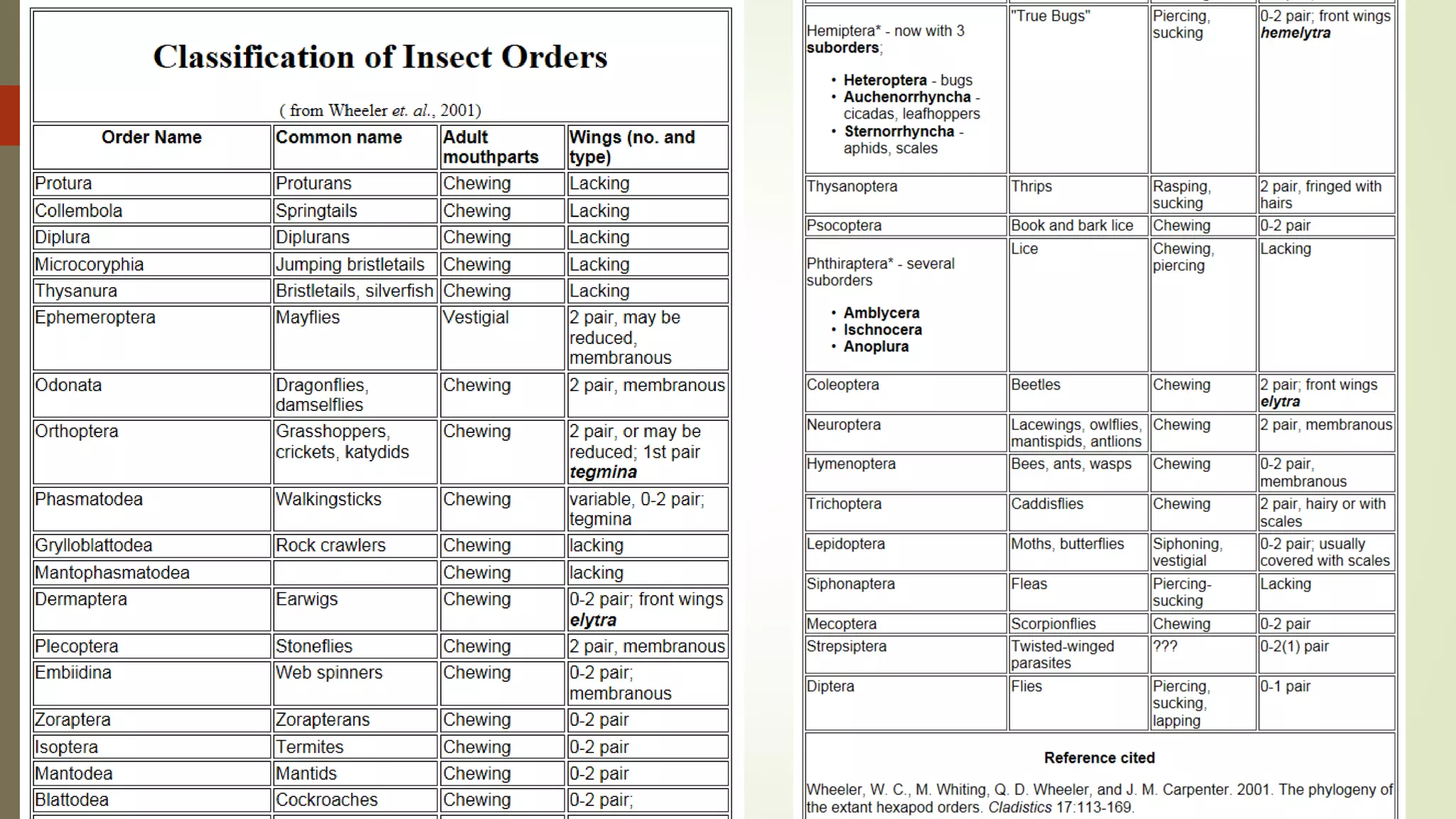 Classification of Insect | PPTX
