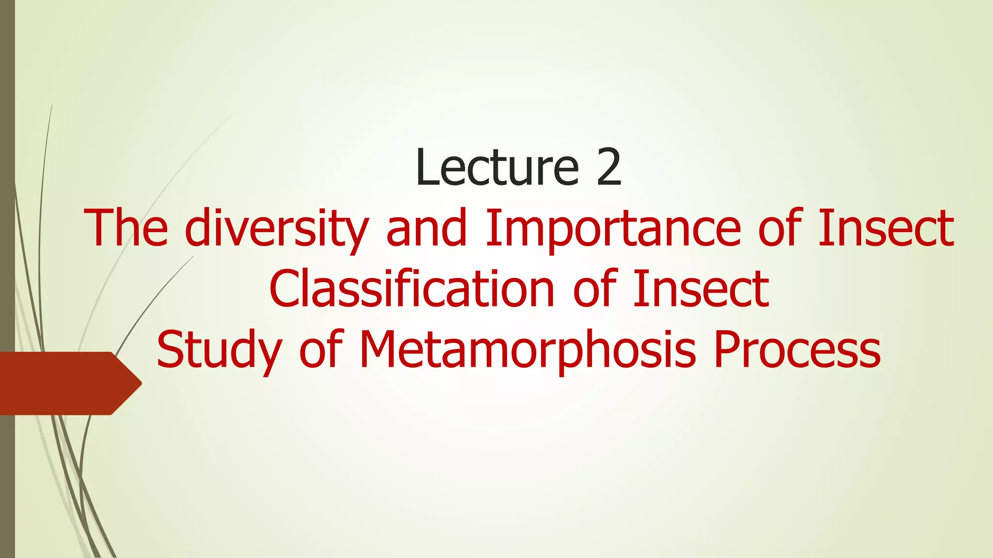 Classification of Insect | PPTX