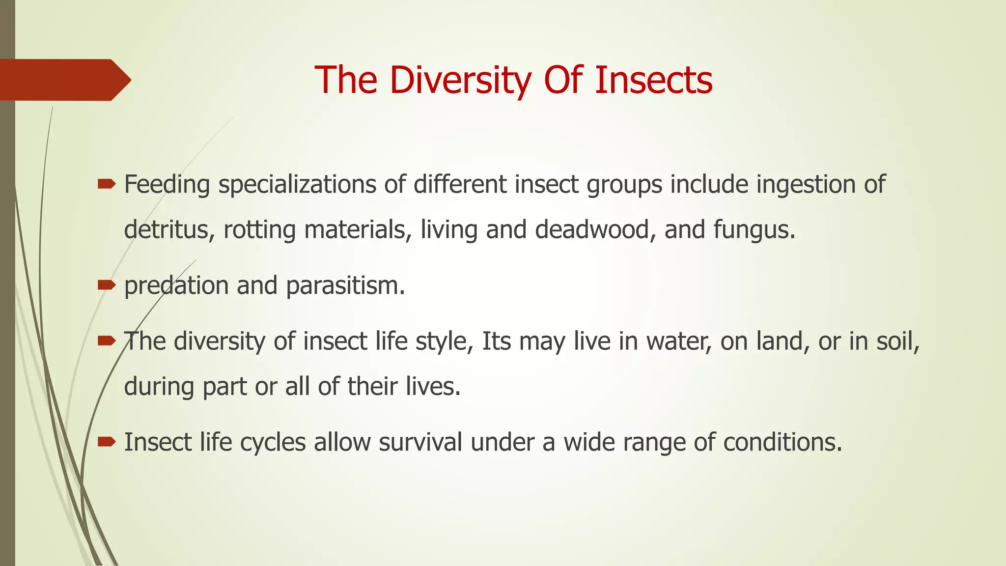 Classification of Insect | PPTX