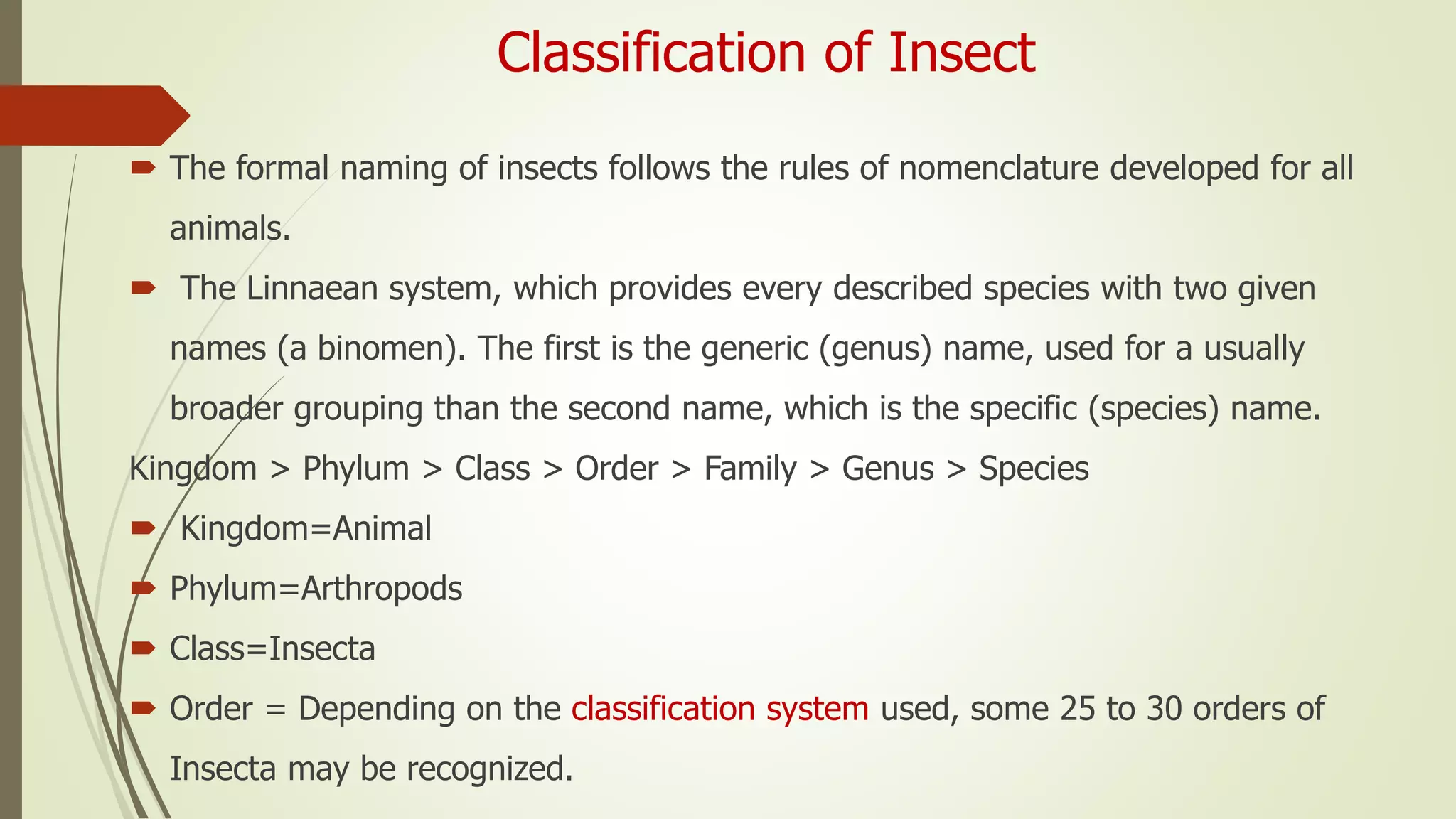 Classification of Insect | PPTX