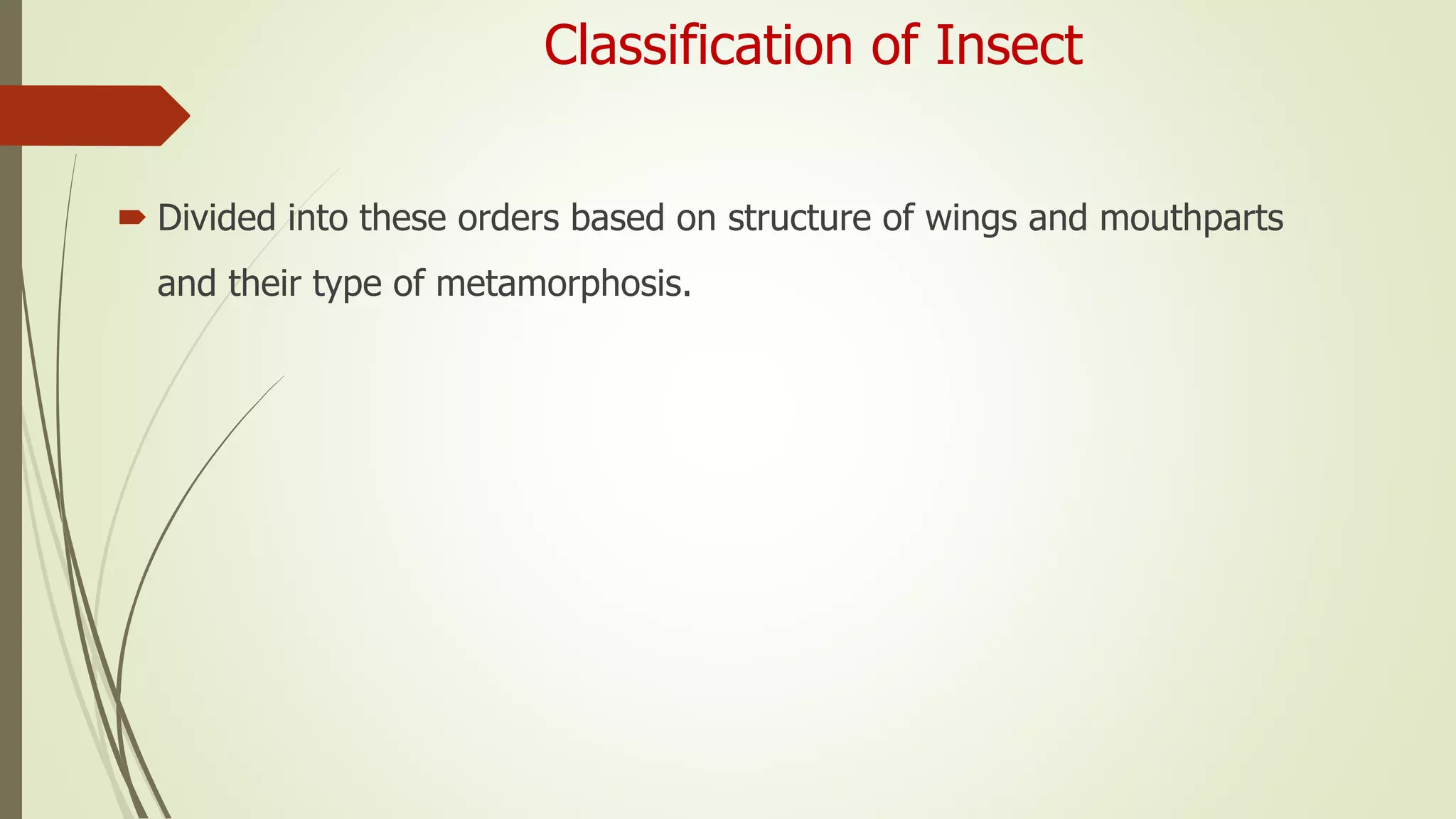 Classification of Insect | PPTX