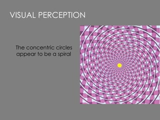 PRECEPTION (ADT) | PDF