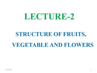 Lecture 2.ppt