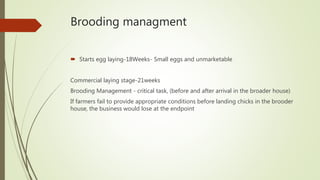 lecture 2.pptx