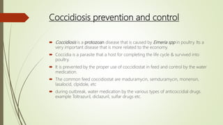 lecture 2.pptx