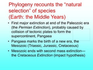 the origins of life on earth | PPT
