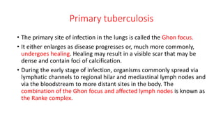 Lecture 2. Primary TB.pptx