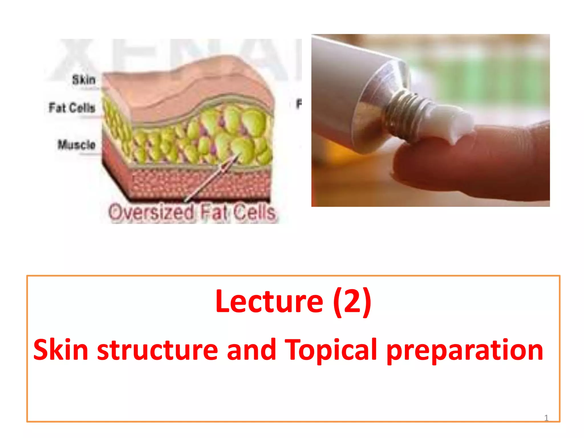 lecture 2.ppt