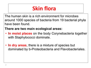 lecture 2.ppt