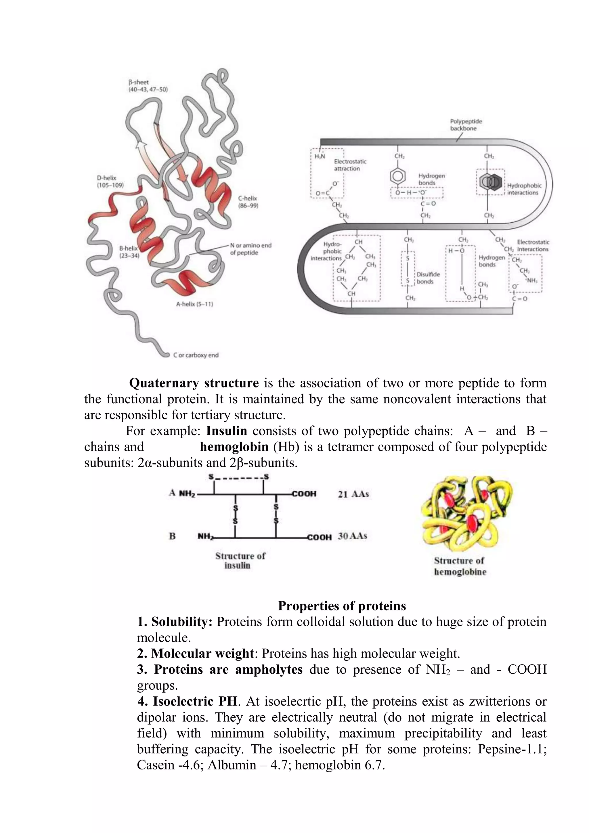 Lecture 1. Proteins.-1.doc