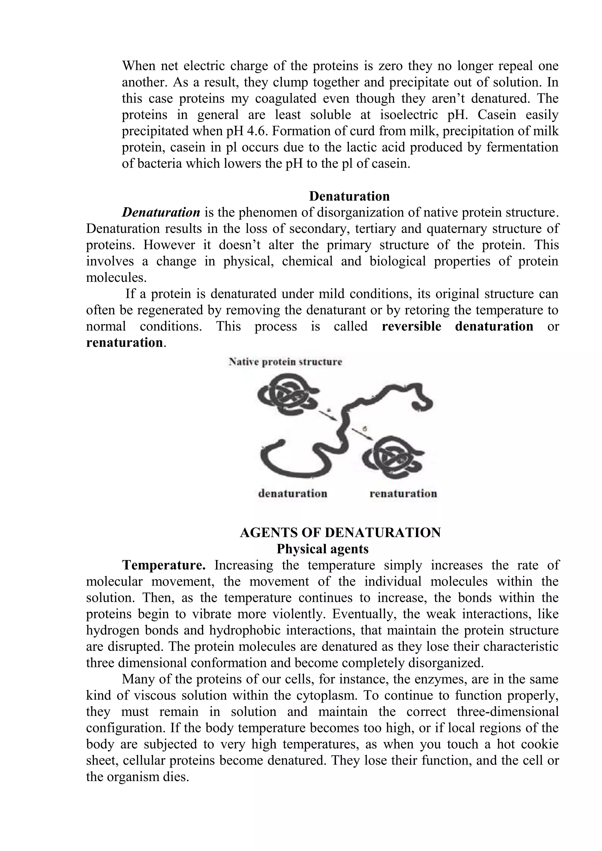 Lecture 1. Proteins.-1.doc