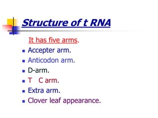 Lecture 2. Chemistry of NA Purines & Pyrimidines.ppt