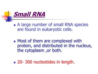 Lecture 2. Chemistry of NA Purines & Pyrimidines.ppt