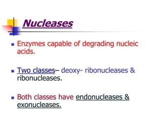 Lecture 2. Chemistry of NA Purines & Pyrimidines.ppt