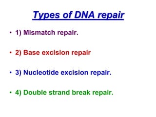 Lecture 2. DNA Repair- Genetic code and mutation.ppt