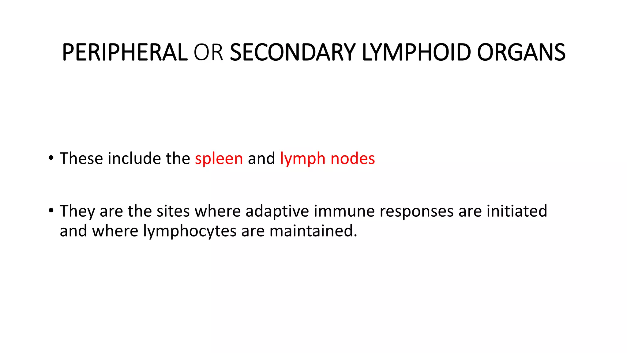 Lecture 2. The lymphoid organs.ppt