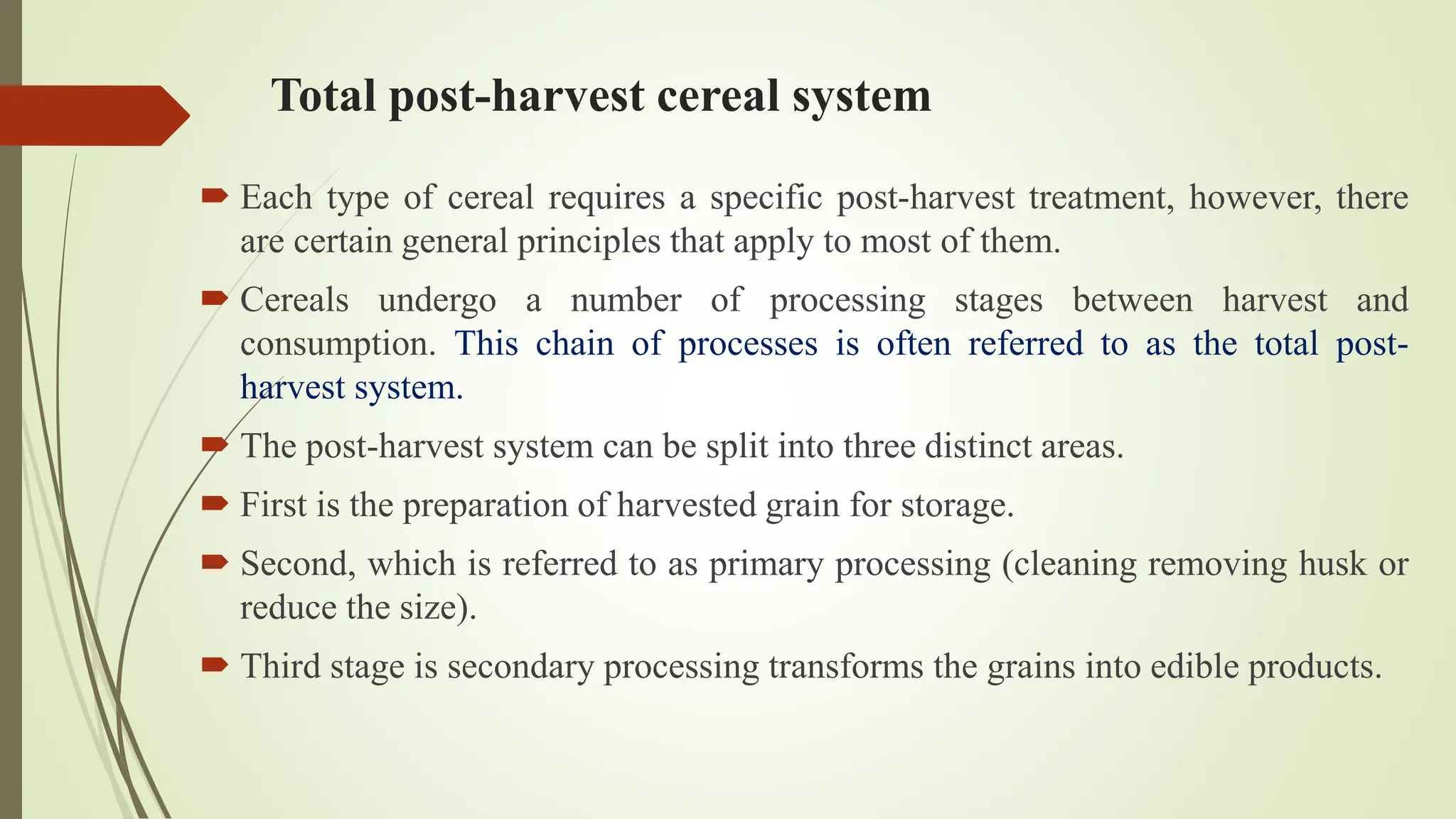 cereal and their processing for industry LECTURE 2.pptx