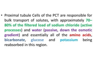 Lecture 2.pdfjnjsdlfhawlfhsjkfhsjggjkengjleg | PDF