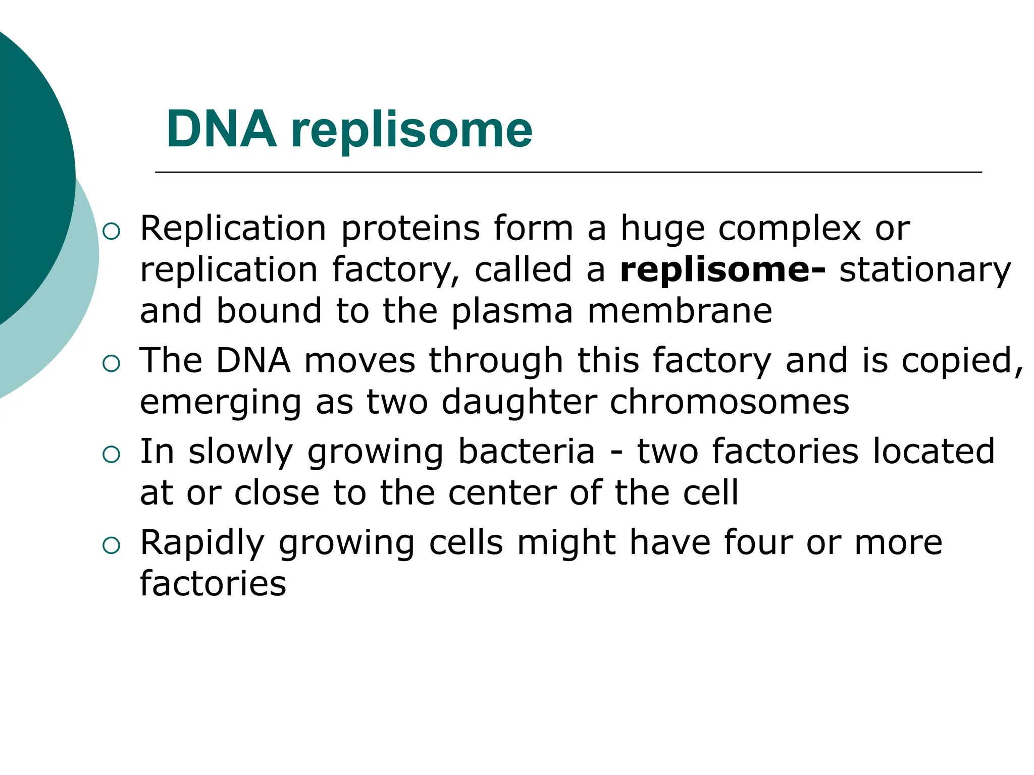 DNA structure and replication with the enzymes involved in repication ...
