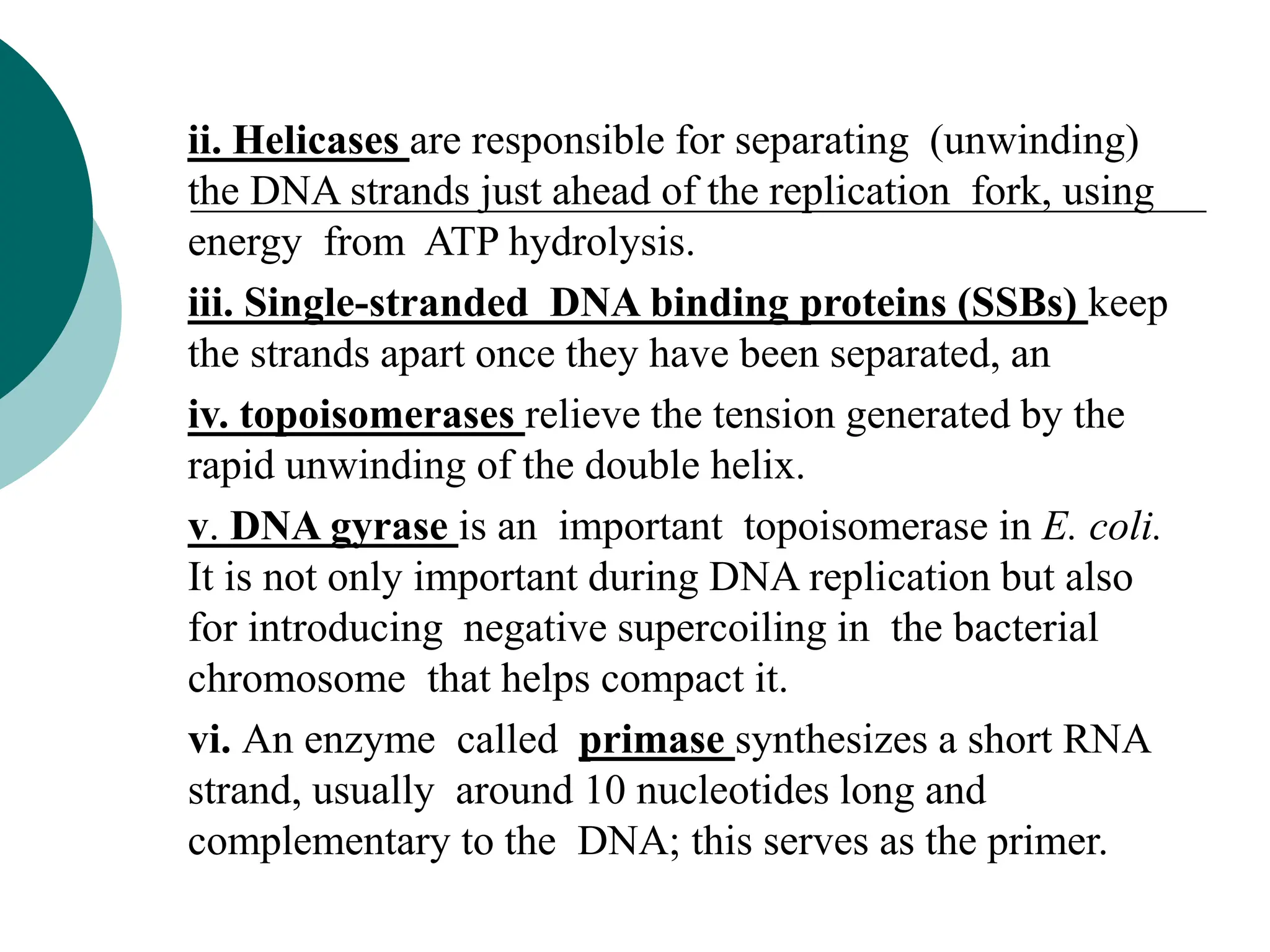 DNA structure and replication with the enzymes involved in repication ...