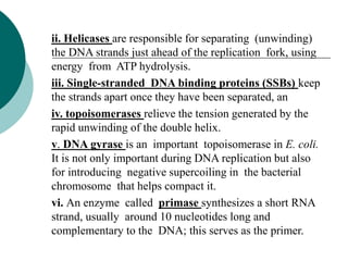 DNA structure and replication with the enzymes involved in repication ...