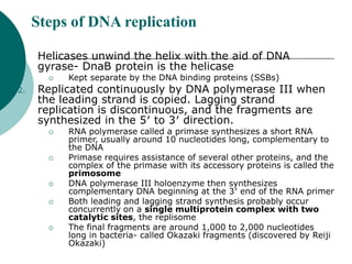 DNA structure and replication with the enzymes involved in repication ...