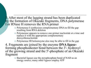 DNA structure and replication with the enzymes involved in repication ...