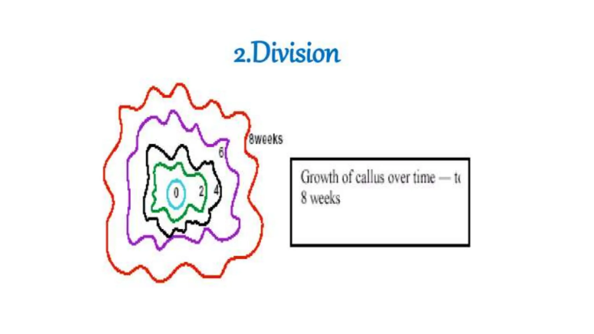 Lecture ppt botony plant intro meaning | PPT