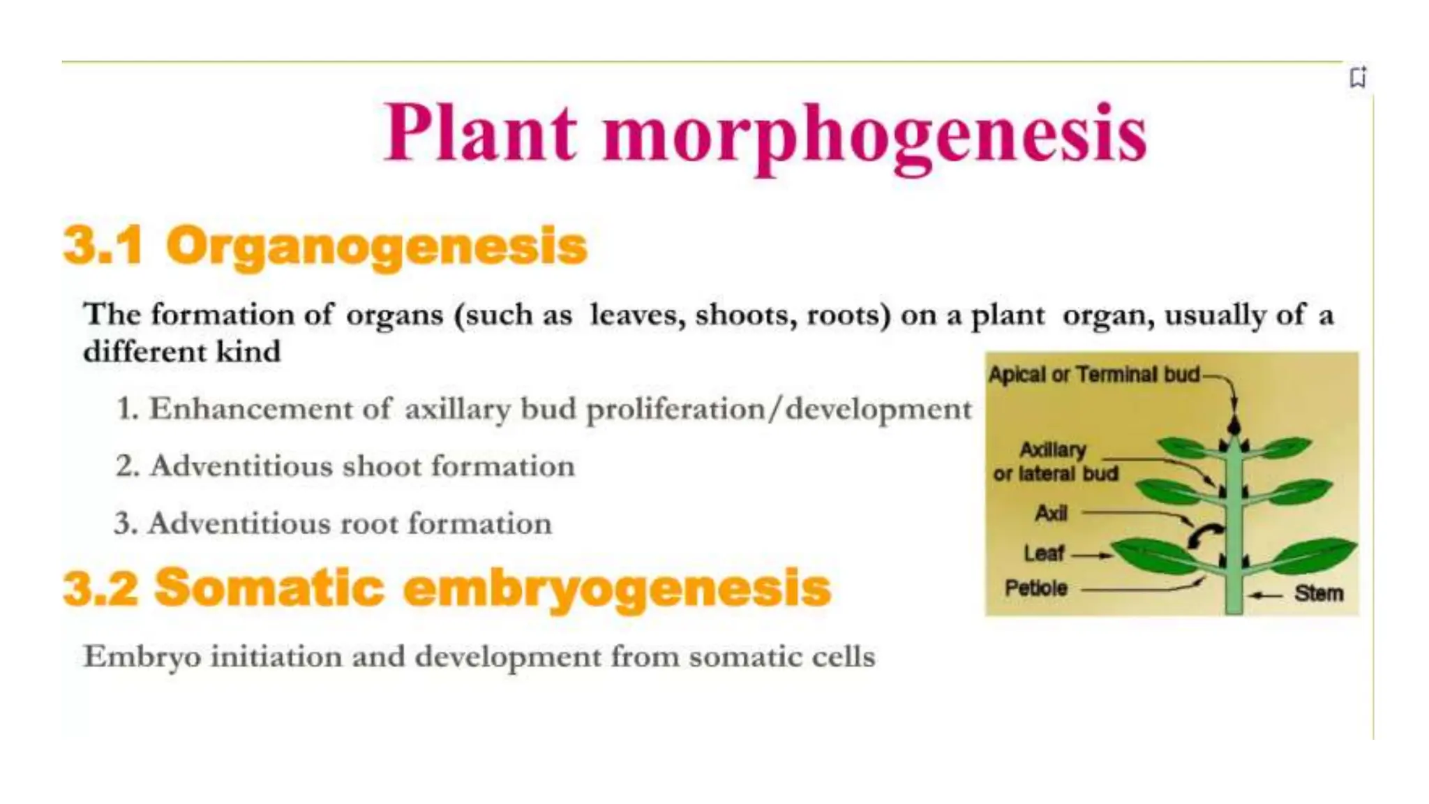 Lecture ppt botony plant intro meaning | PPT | Free Download