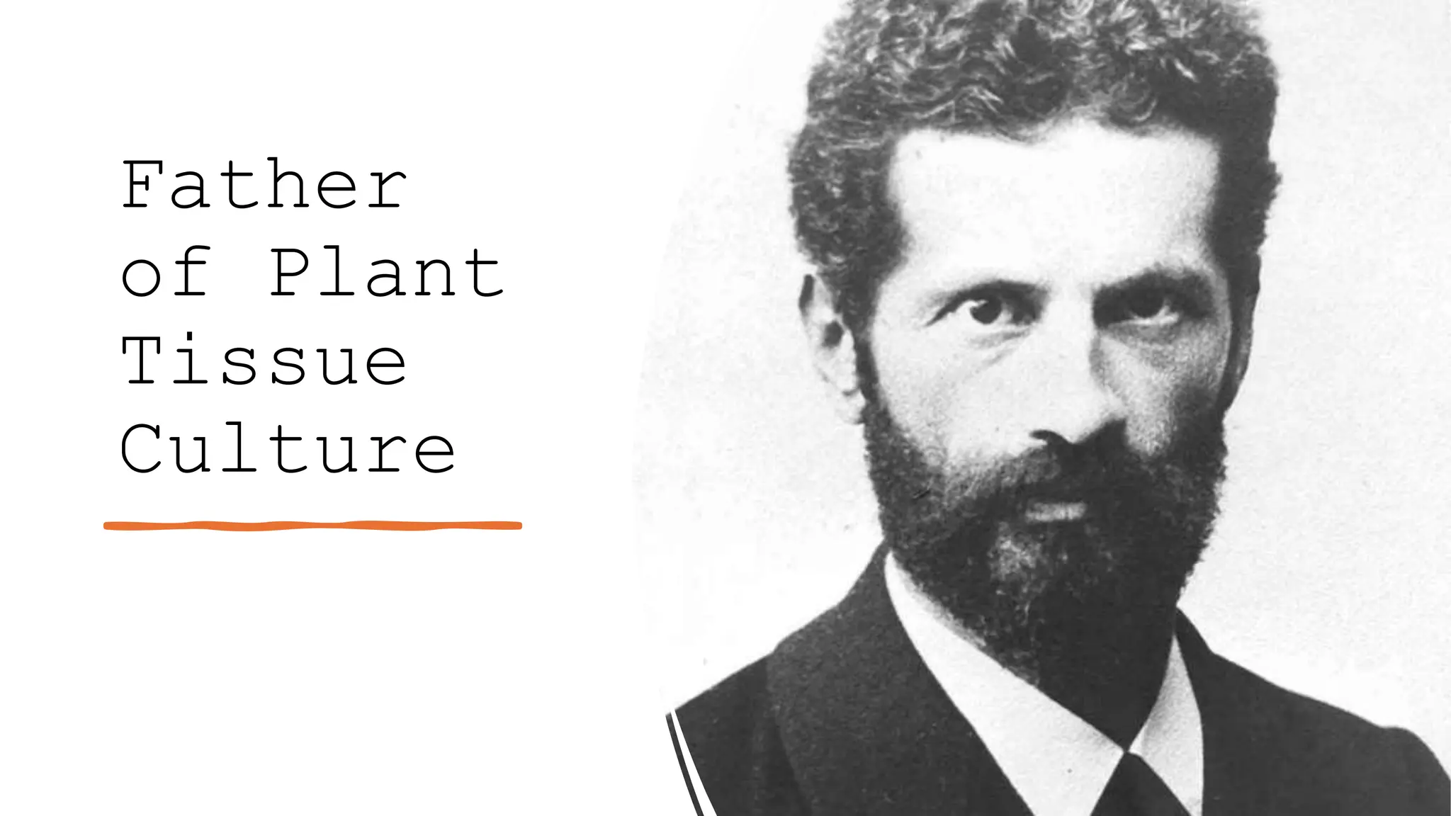 Lecture ppt botony plant intro meaning | PPT