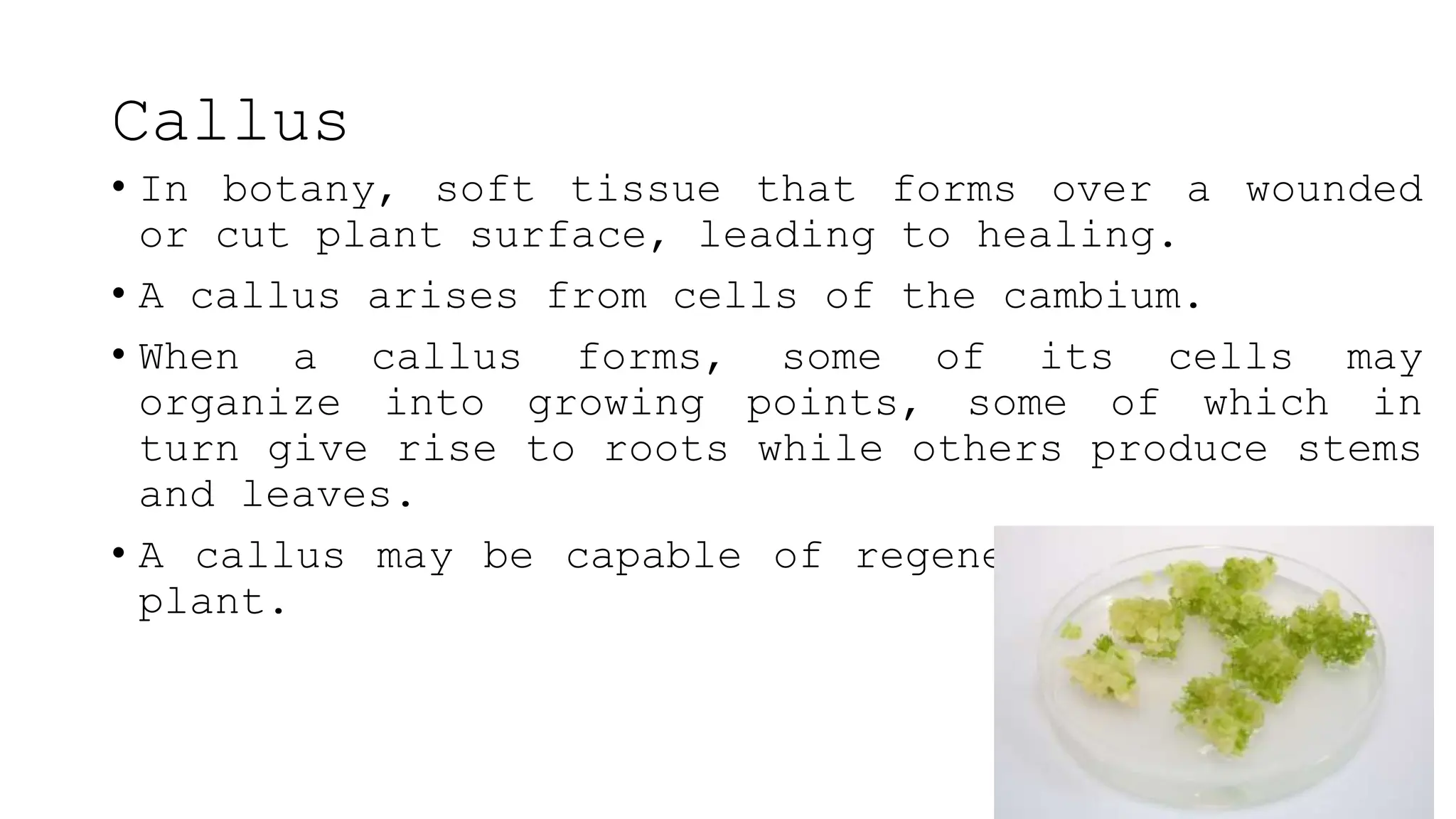 Lecture ppt botony plant intro meaning | PPT