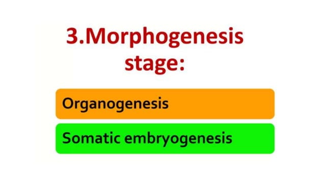 Lecture ppt botony plant intro meaning | PPT