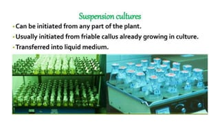 Lecture ppt botony plant intro meaning | PPT