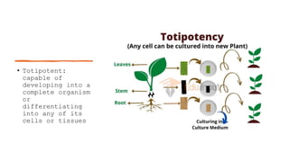 Lecture ppt botony plant intro meaning | PPT