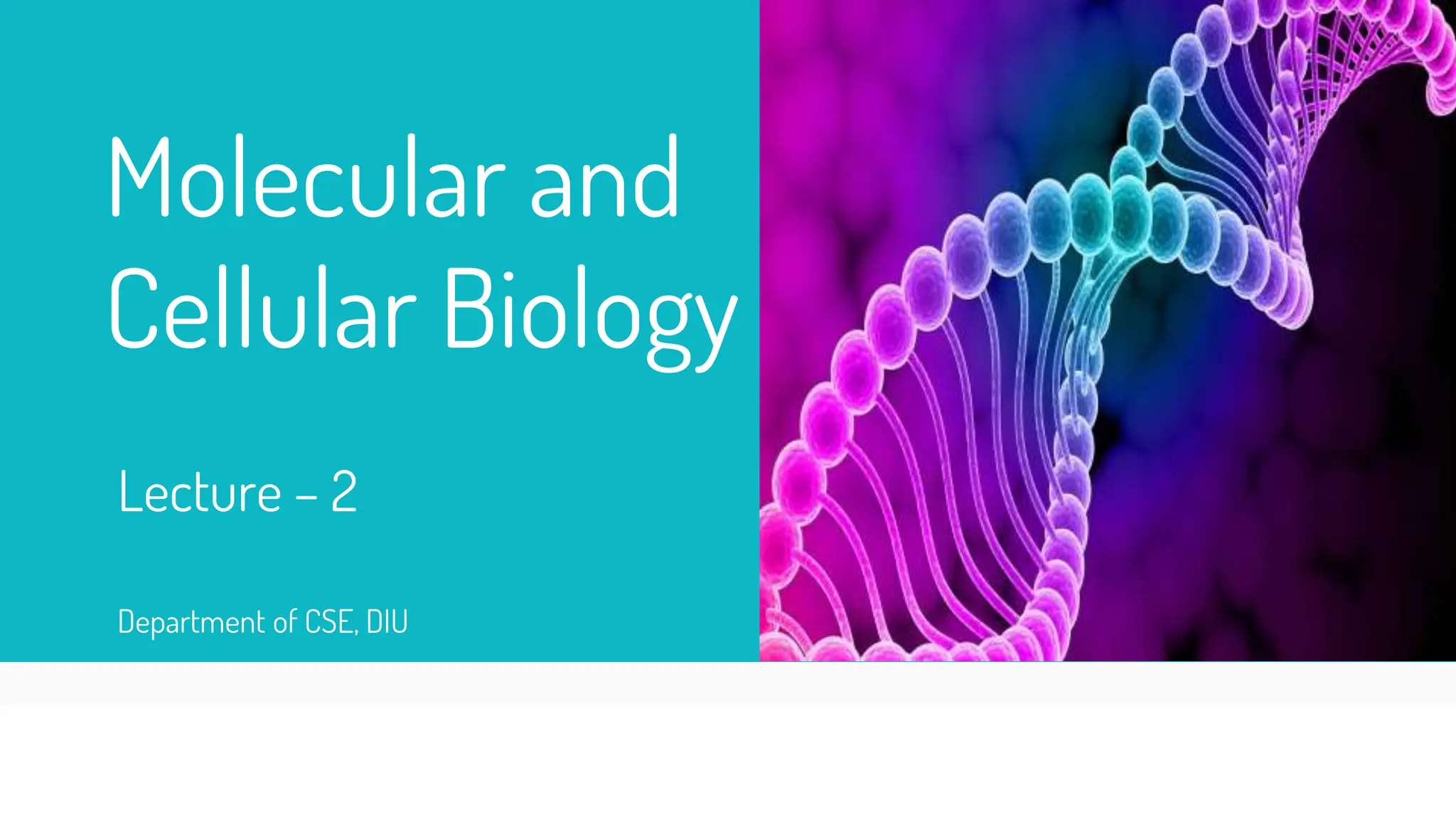 Lecture 2.2 Molecular and Cellular Biology (DNA Replication).pptx