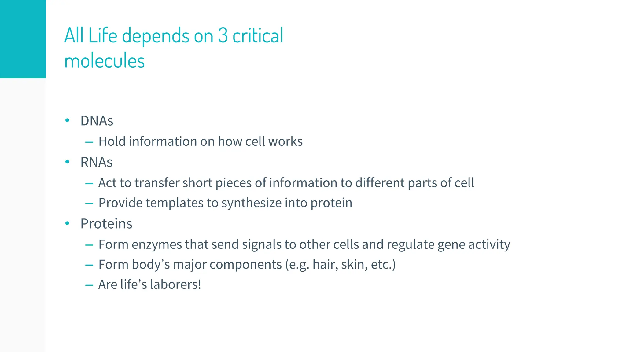 Lecture 2.2 Molecular and Cellular Biology (DNA Replication).pptx