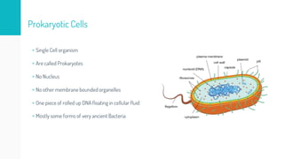 Lecture 2.2 Molecular and Cellular Biology (DNA Replication).pptx