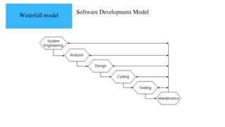 Software Development Lifecycle Presentation | PDF