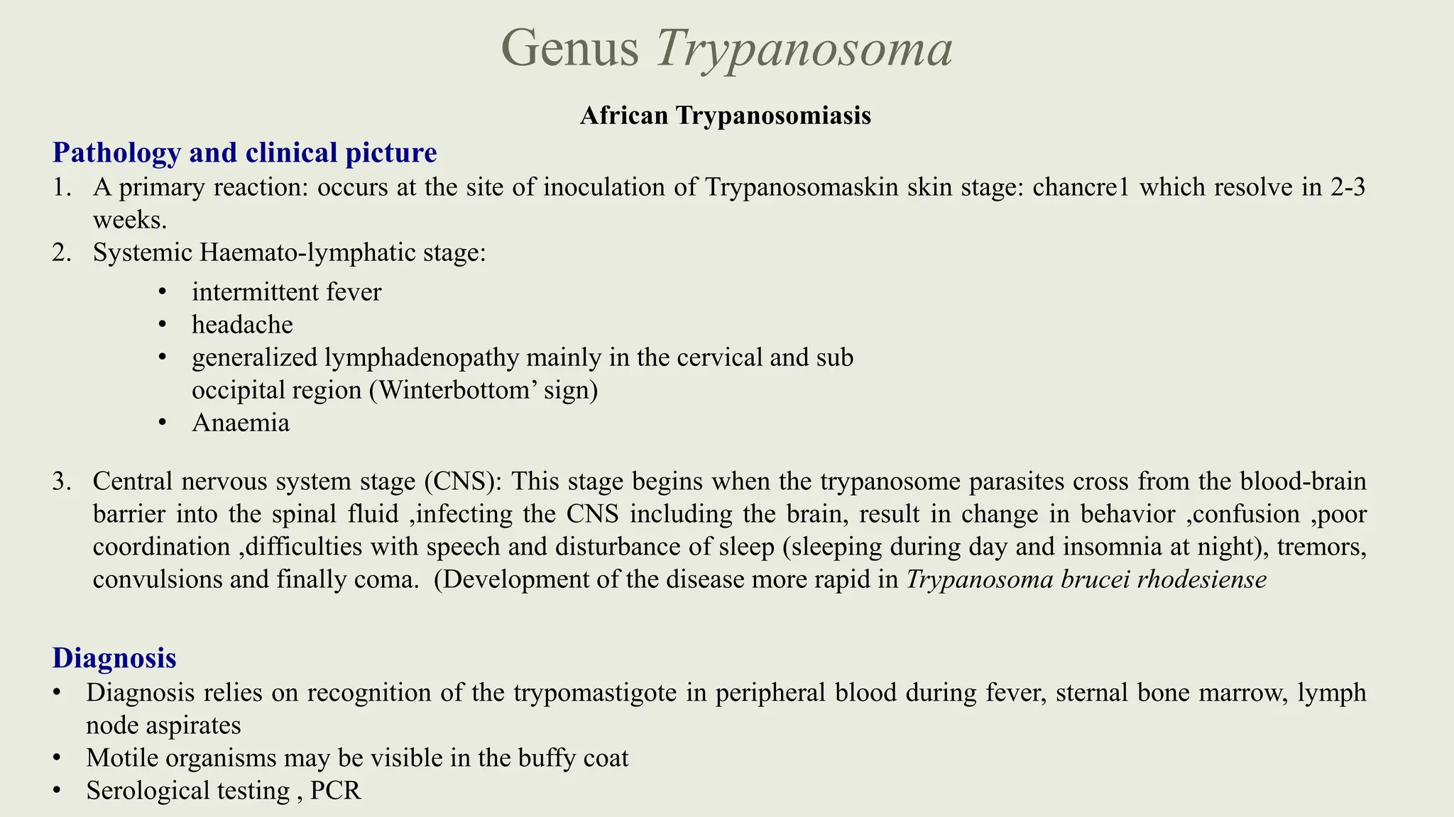 Presentation on protozoa biology topic mbbs | PPTX