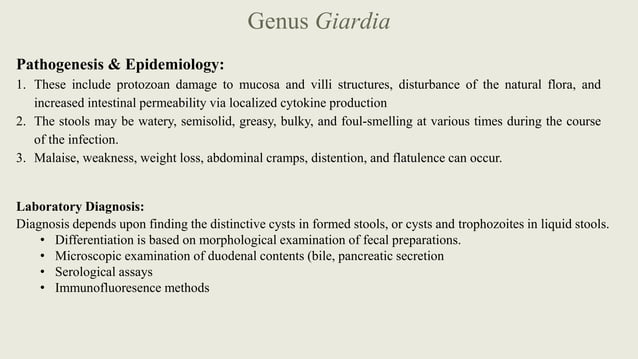Presentation on protozoa biology topic mbbs | PPT